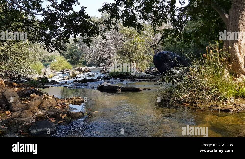 A man crossing a river stream of the Cauvery river carrying a coracle ...