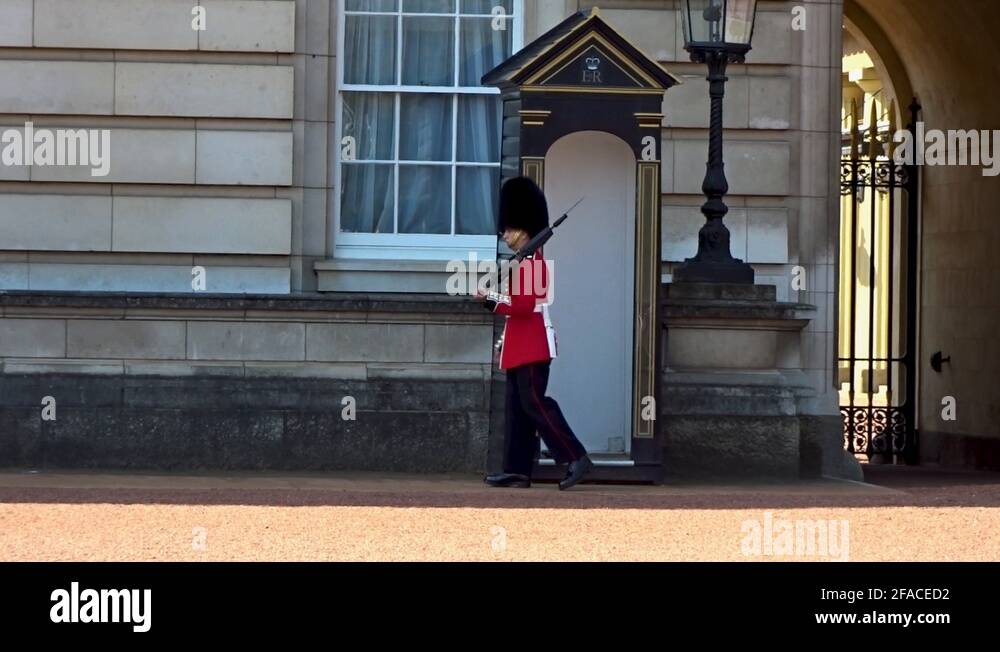 Royal guard london tourism Stock Videos & Footage - HD and 4K Video ...