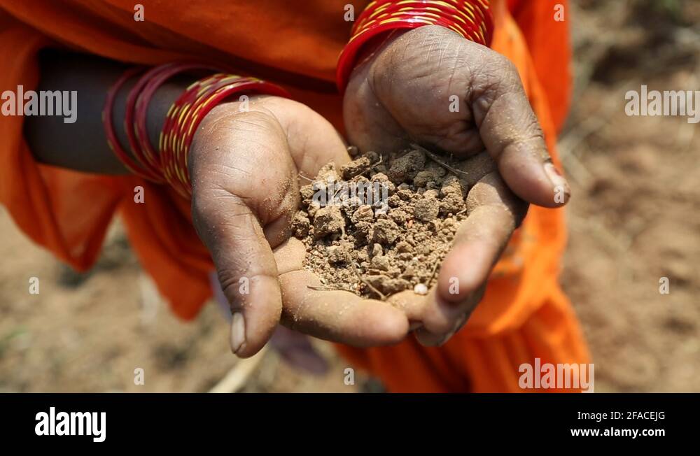 Famine in india Stock Videos & Footage - HD and 4K Video Clips - Alamy