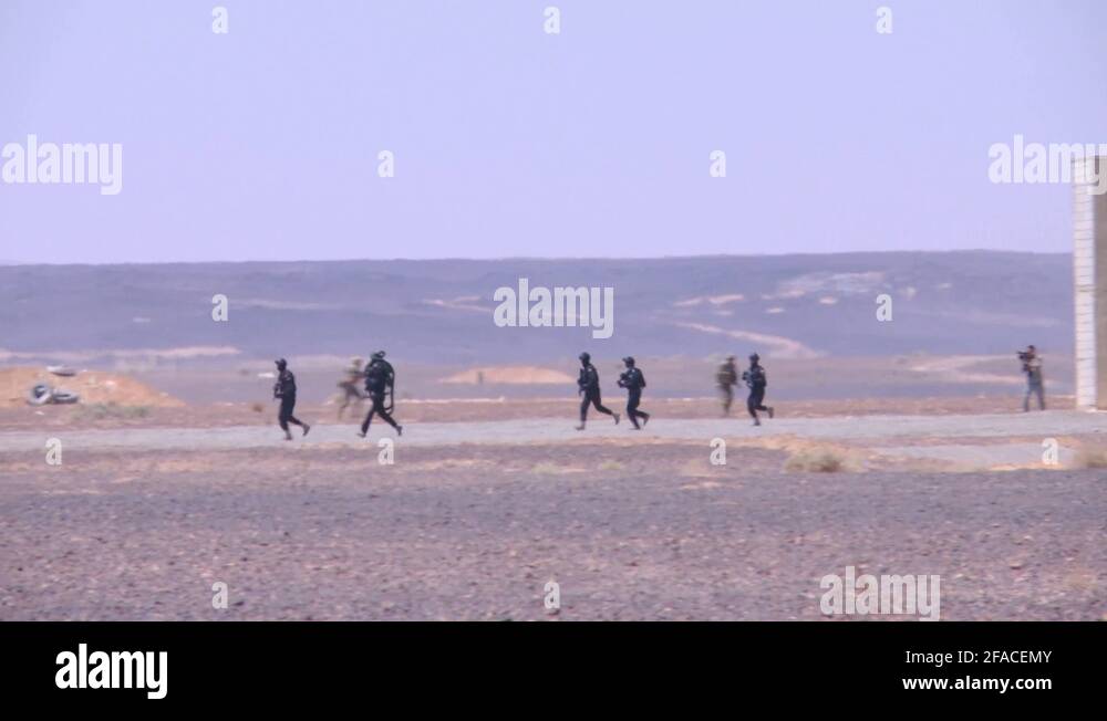 Royal jordanian armed forces Stock Videos & Footage - HD and 4K Video ...