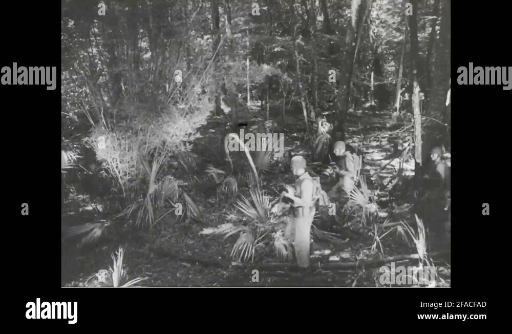 Exploded tree Stock Videos & Footage - HD and 4K Video Clips - Alamy