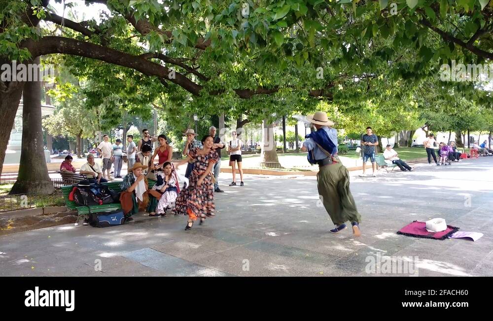 Carnival dancing tree Stock Videos & Footage - HD and 4K Video Clips ...