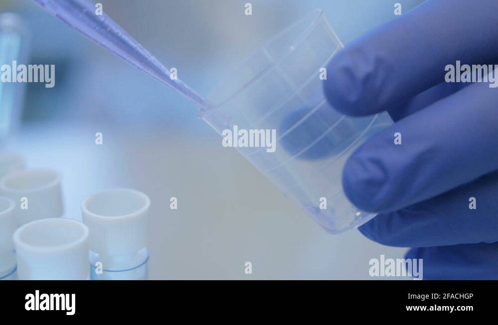 Scientist in a laboratory analyzes sample to collect DNA and molecules ...