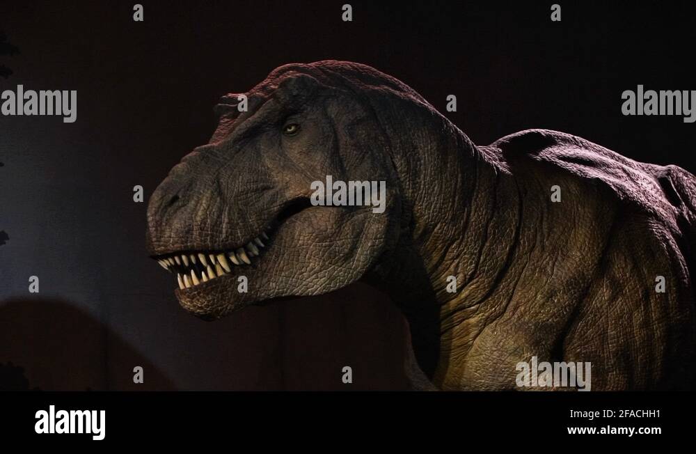 T rex dinosaur Stock Videos & Footage - HD and 4K Video Clips - Alamy