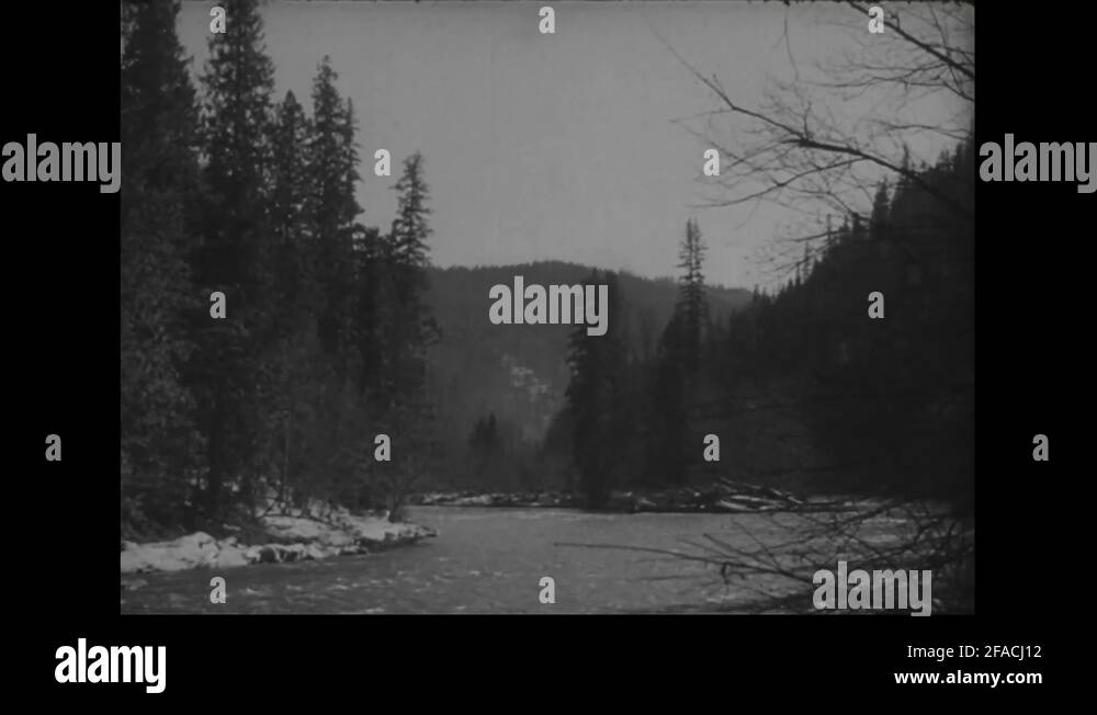 Fallen trees in river Stock Videos & Footage - HD and 4K Video Clips ...