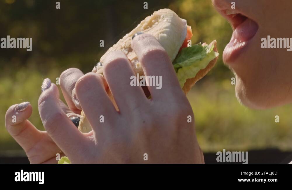 Cross section hamburger Stock Videos & Footage - HD and 4K Video Clips - Alamy