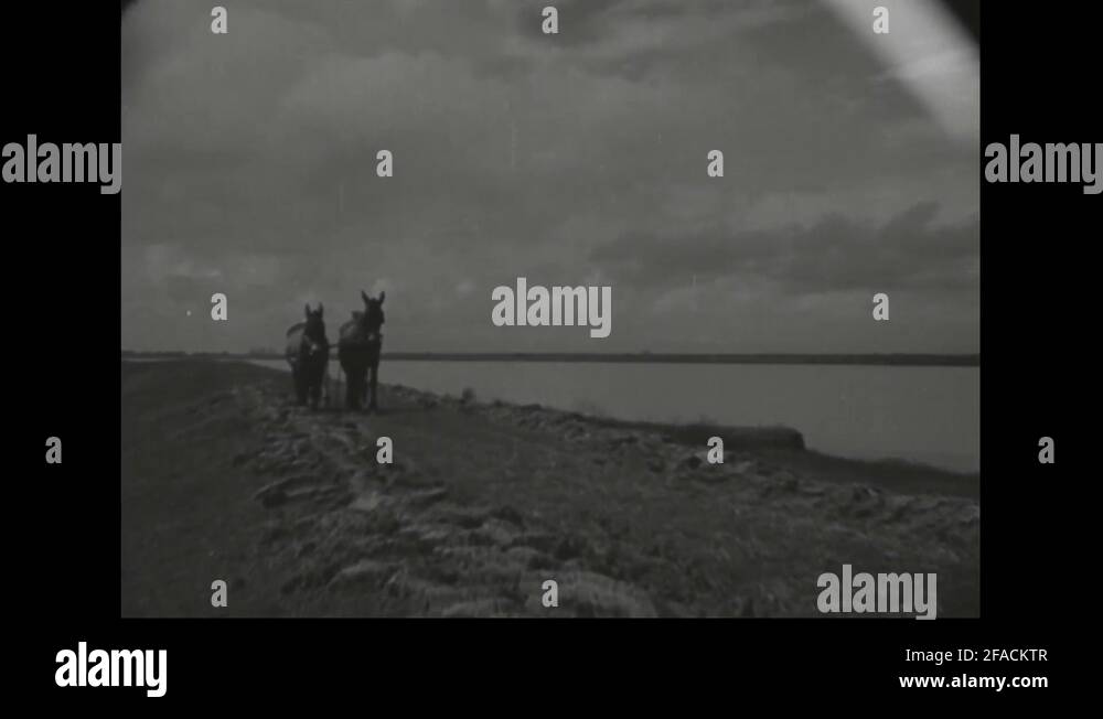 Plougher Stock Videos & Footage - HD and 4K Video Clips - Alamy