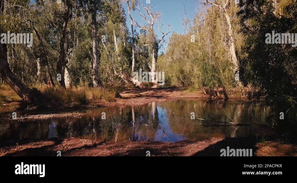 Australian wetland landscape Stock Videos & Footage - HD and 4K Video ...
