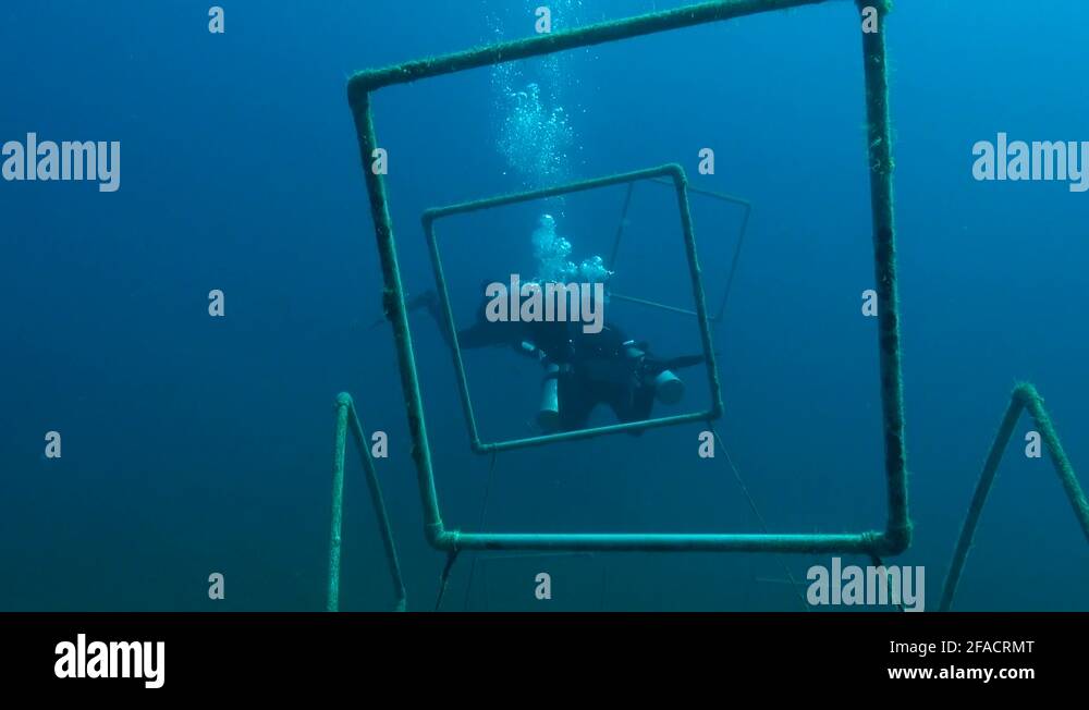 Buoyancy tank Stock Videos & Footage - HD and 4K Video Clips - Alamy