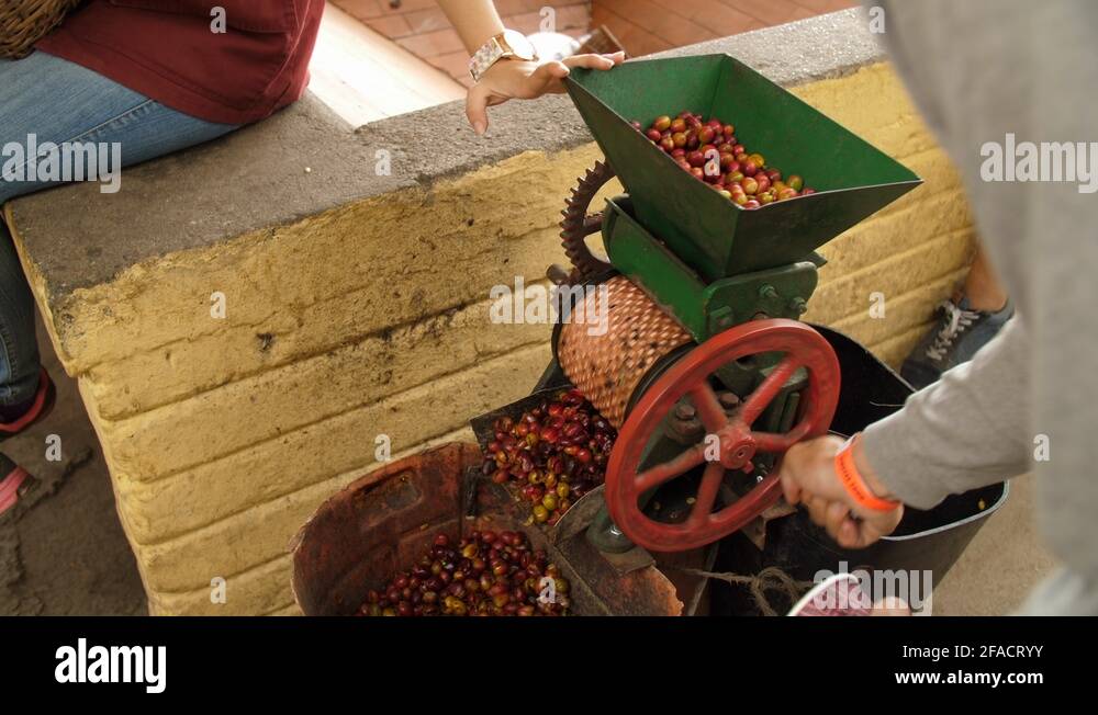 Coffee pulper Stock Videos & Footage - HD and 4K Video Clips - Alamy