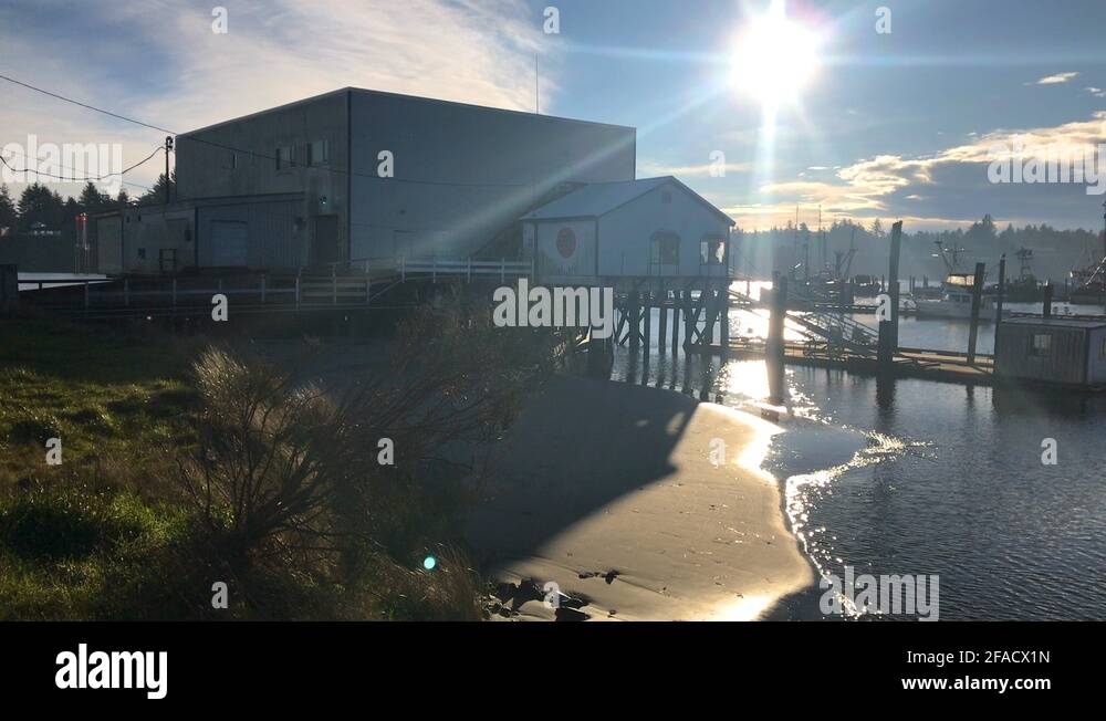 Fishing warehouse Stock Videos & Footage - HD and 4K Video Clips - Alamy