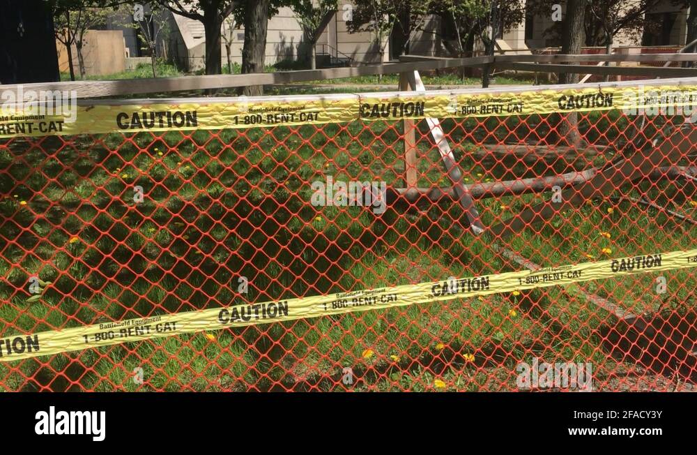 Protected tree zone Stock Videos & Footage - HD and 4K Video Clips - Alamy