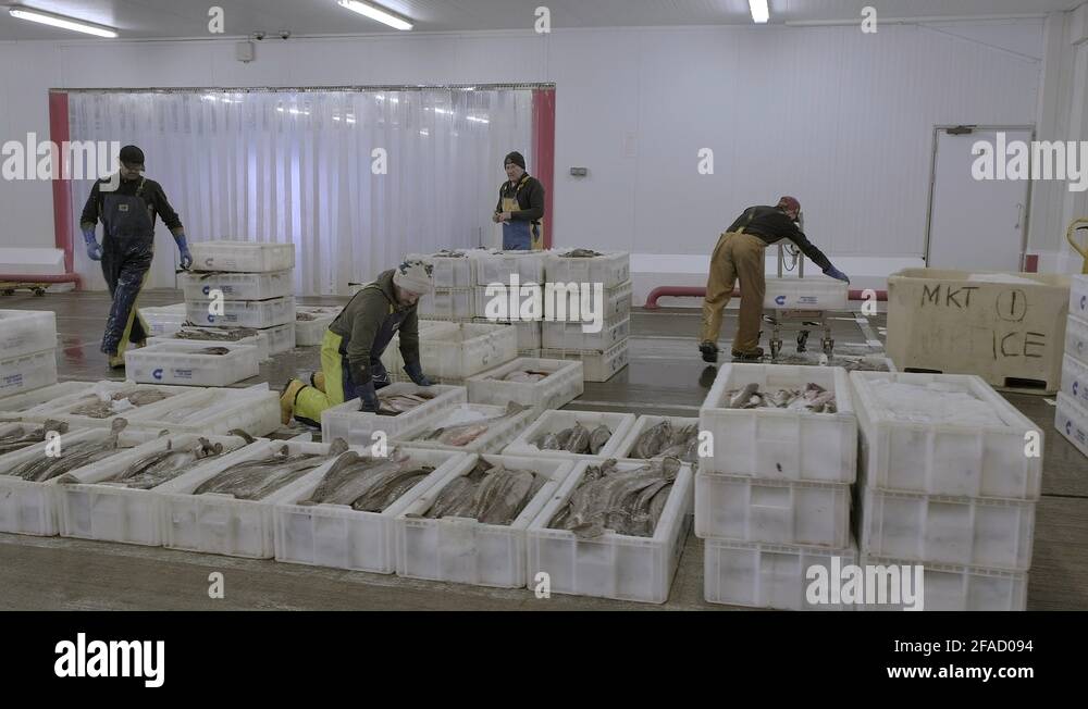 Fish farming containers Stock Videos & Footage - HD and 4K Video Clips ...