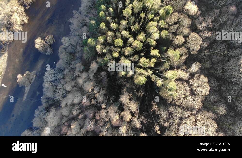 Tree top view uk Stock Videos & Footage - HD and 4K Video Clips - Alamy
