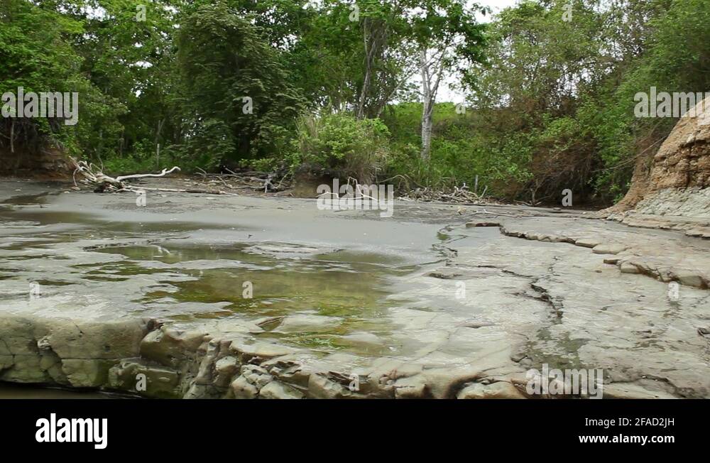 Eroding erosion cliff beach Stock Videos & Footage - HD and 4K Video ...
