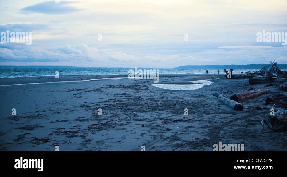 Sandy cold beach Stock Videos & Footage - HD and 4K Video Clips - Alamy