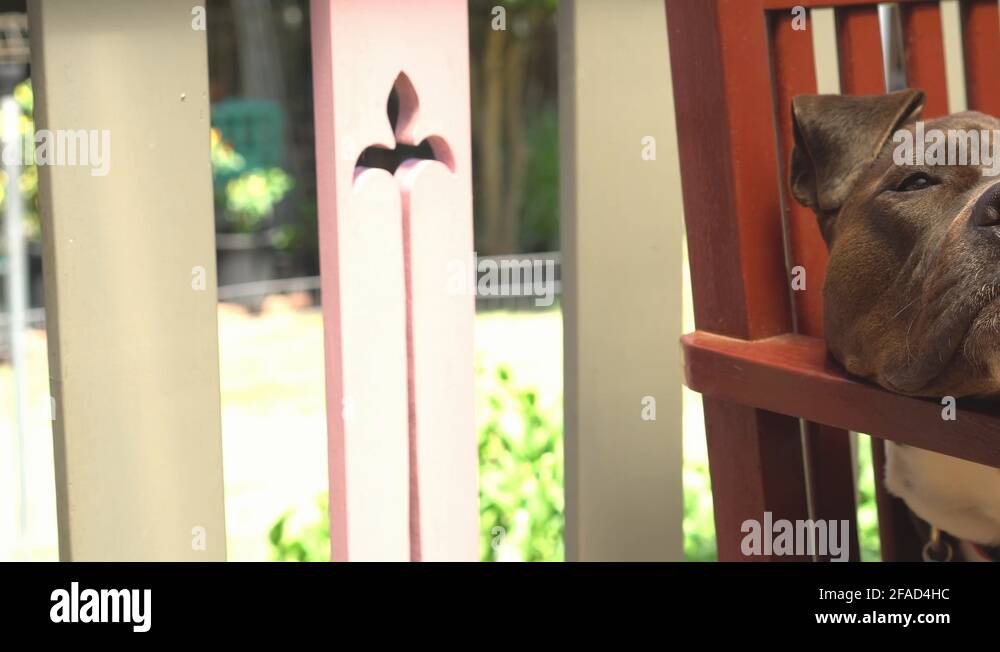 Life at home Stock Videos & Footage - HD and 4K Video Clips - Alamy