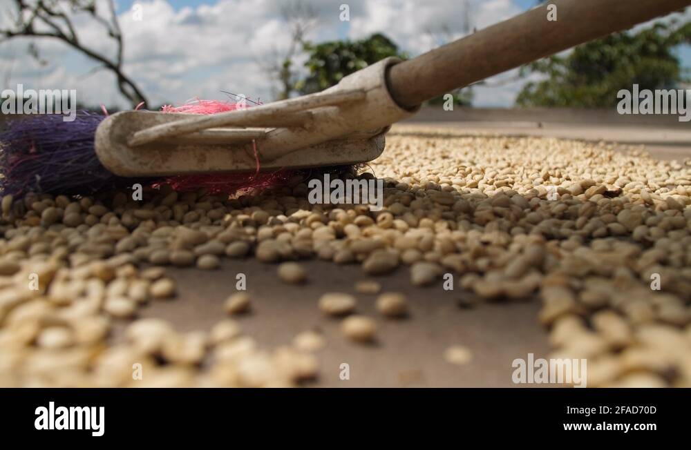 Pushing broom Stock Videos & Footage - HD and 4K Video Clips - Alamy