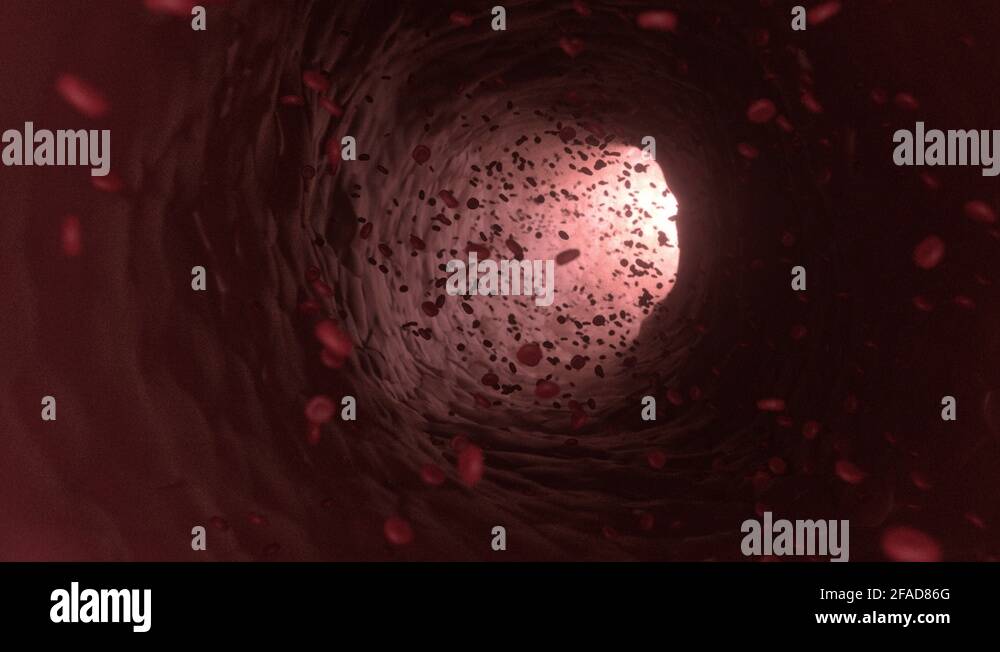 Inside blood vessels Stock Videos & Footage - HD and 4K Video Clips - Alamy