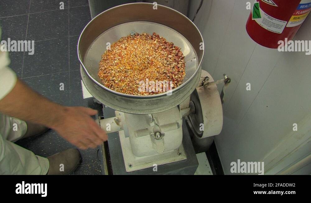 Grain bin corn Stock Videos & Footage - HD and 4K Video Clips - Alamy