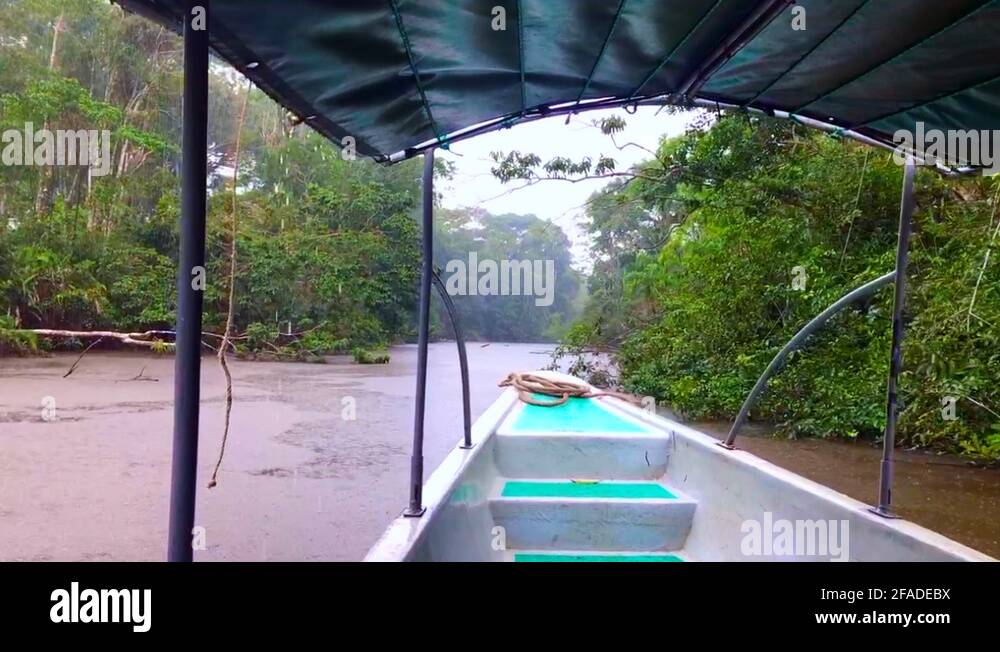 Amazon rainforest adventure Stock Videos & Footage - HD and 4K Video ...