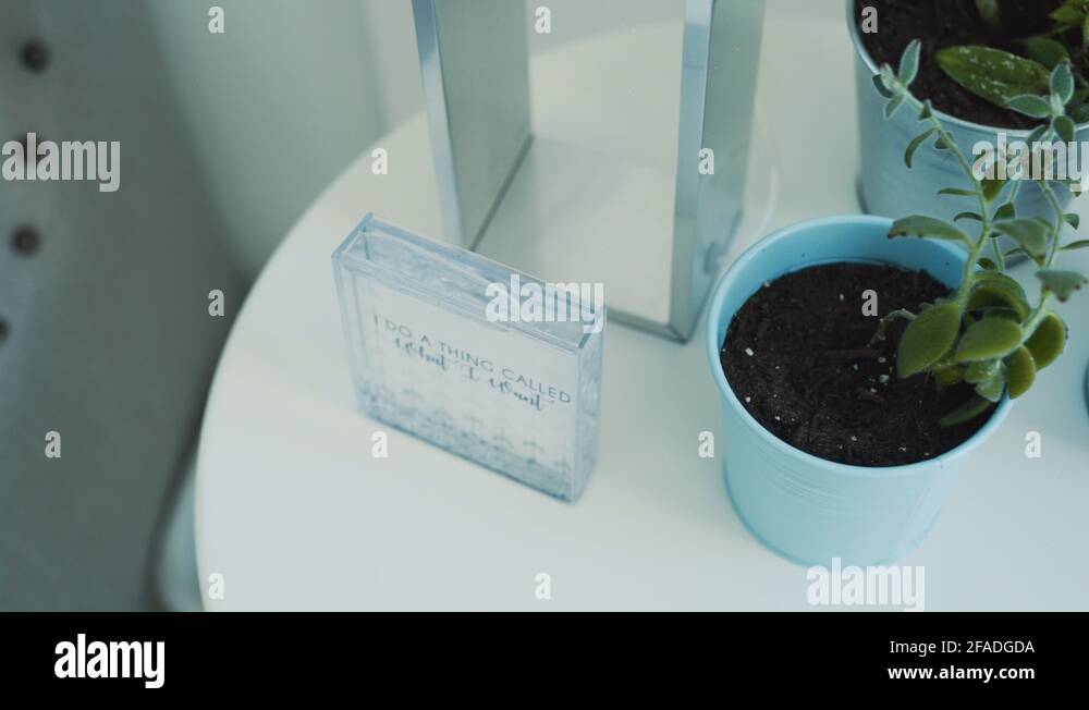 Plants on office table Stock Videos & Footage - HD and 4K Video Clips ...