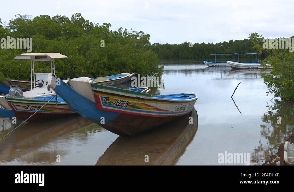 Arm of a river Stock Videos & Footage - HD and 4K Video Clips - Alamy