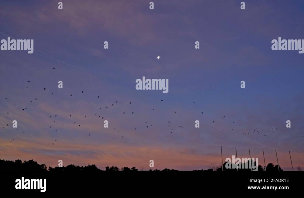 Dawn and moon Stock Videos & Footage - HD and 4K Video Clips - Alamy