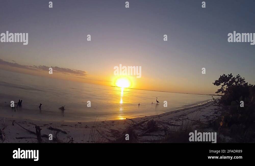 Fishing in waves Stock Videos & Footage - HD and 4K Video Clips - Alamy