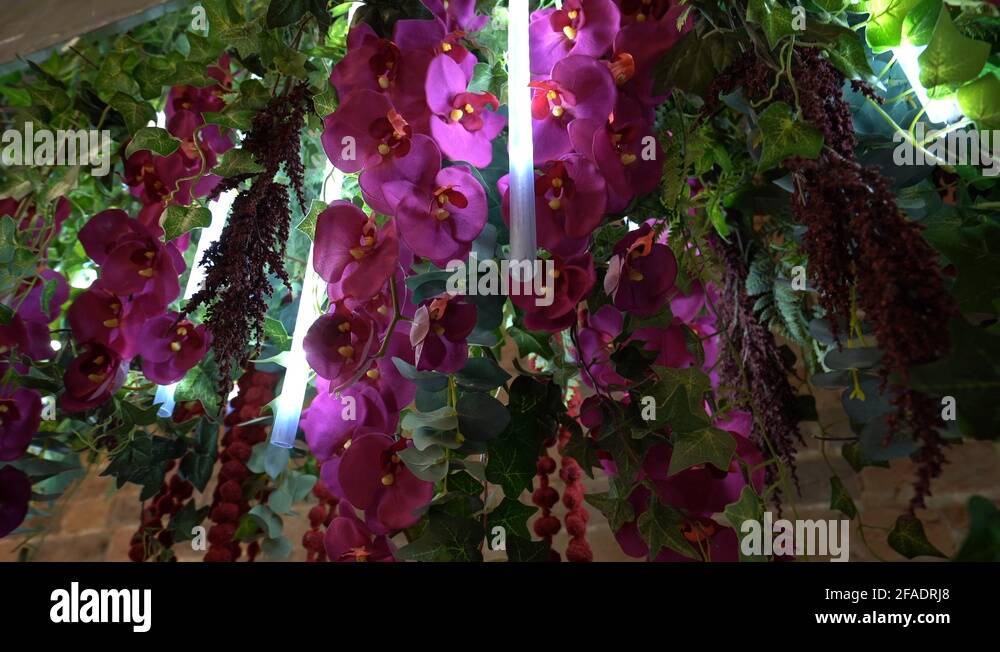 Flower designer Stock Videos & Footage - HD and 4K Video Clips - Alamy