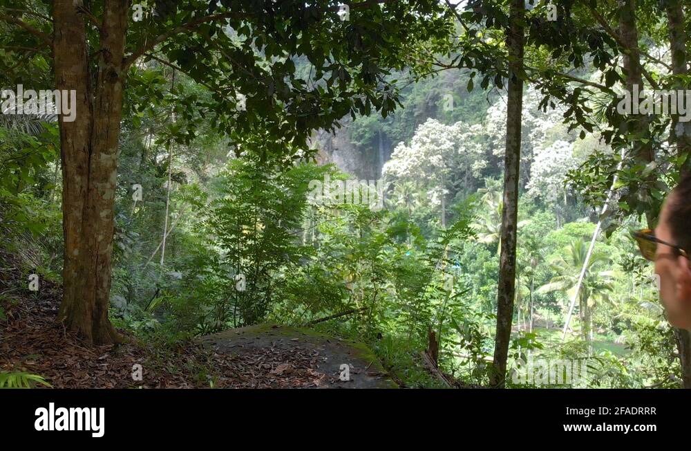 Hiking woman trekking in rainforest jungle. Rear back view of young ...