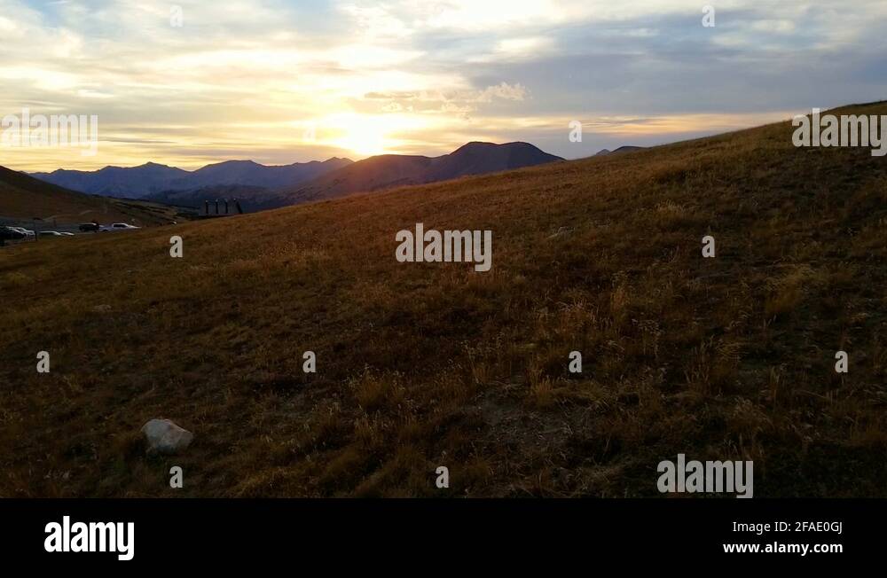 Tundra scrub Stock Videos & Footage - HD and 4K Video Clips - Alamy