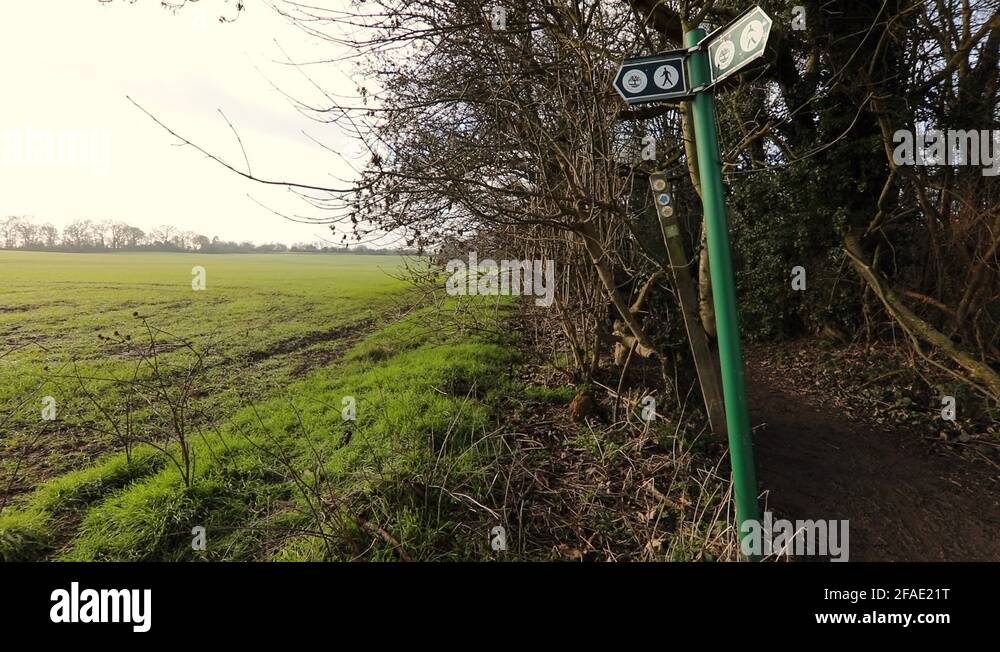 Footpaths Stock Videos & Footage - HD and 4K Video Clips - Alamy