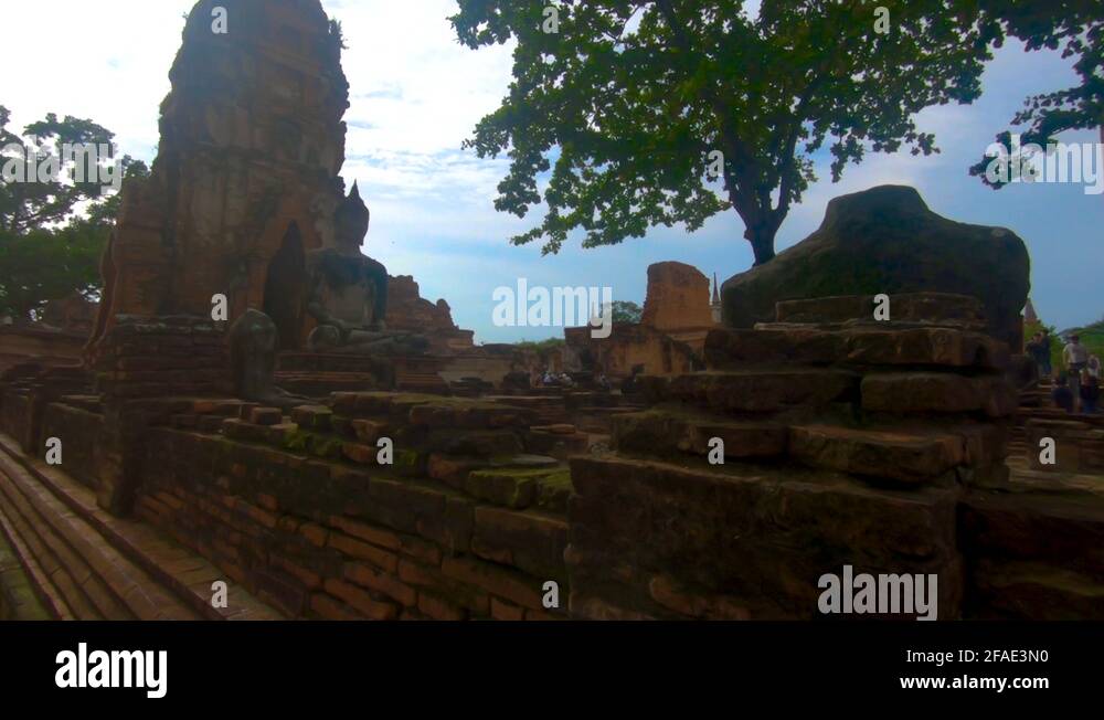 Overgrown buddha statue Stock Videos & Footage - HD and 4K Video Clips ...