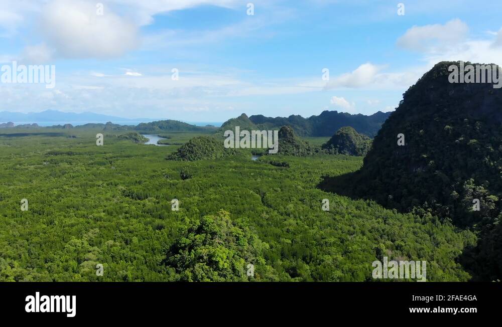 Dramatic jungle Stock Videos & Footage - HD and 4K Video Clips - Alamy