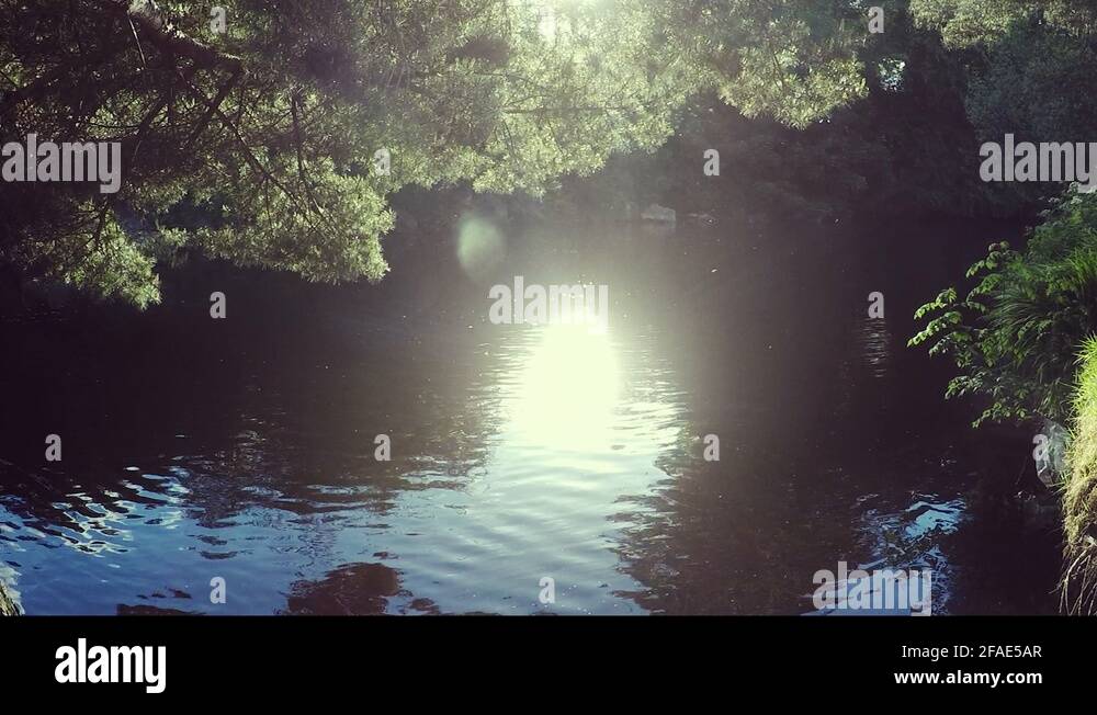 River sun Stock Videos & Footage - HD and 4K Video Clips - Alamy