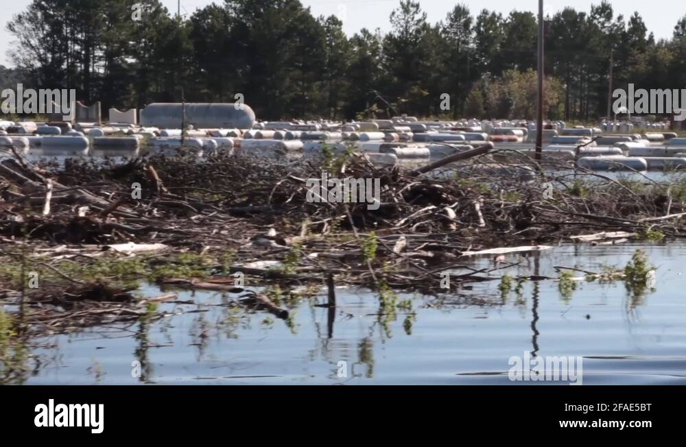 Flood destruction damaged tree water Stock Videos & Footage - HD and 4K ...