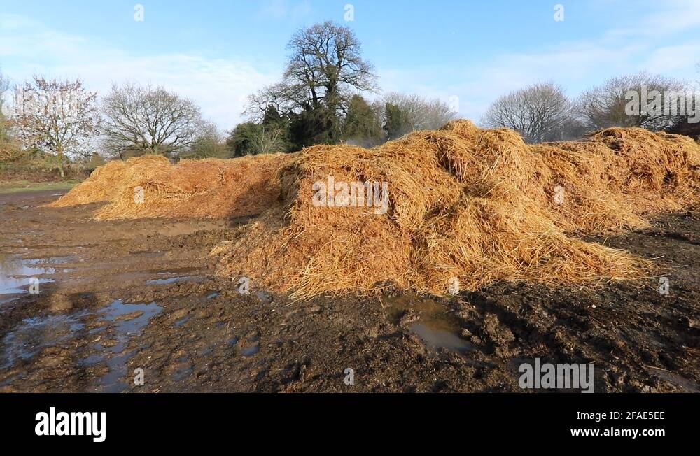 Manure Stock Videos & Footage - HD and 4K Video Clips - Alamy