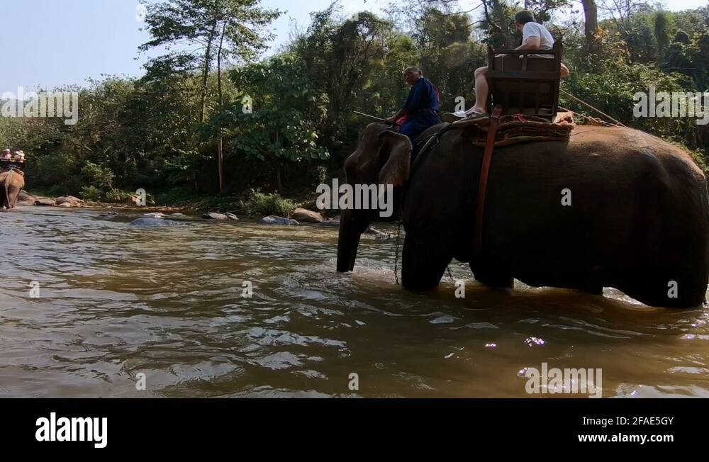 Floating elephant Stock Videos & Footage - HD and 4K Video Clips - Alamy