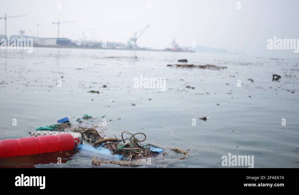 Garbage floats on a polluted bay with a port and cranes visible in the ...