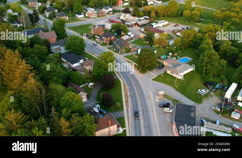 Ariel shot trees Stock Videos & Footage - HD and 4K Video Clips - Alamy