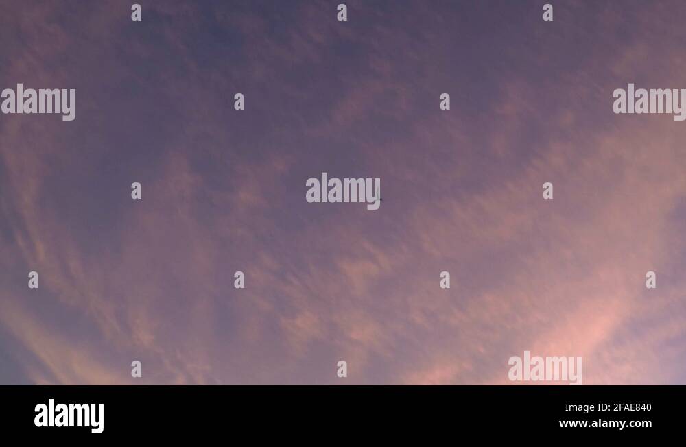 Attacking fish Stock Videos & Footage - HD and 4K Video Clips - Alamy