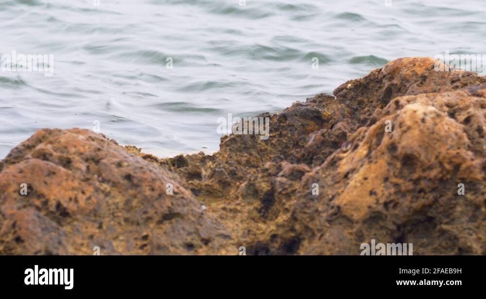 Blurry rocks Stock Videos & Footage - HD and 4K Video Clips - Alamy