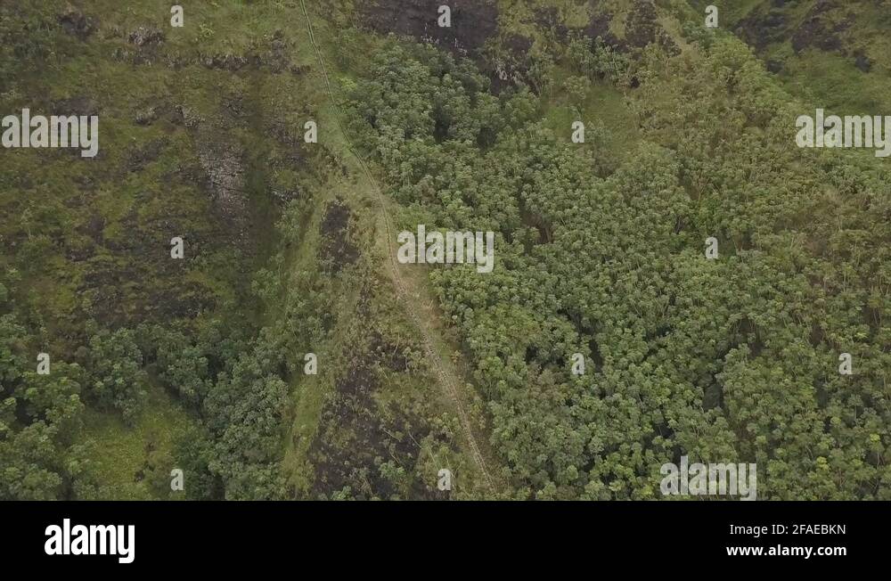 Haiku stairs Stock Videos & Footage - HD and 4K Video Clips - Alamy