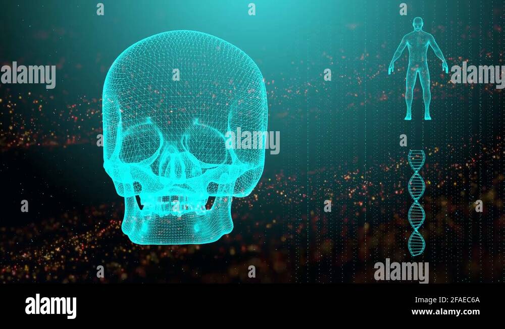 Medical background with skull and human body Stock Video Footage - Alamy