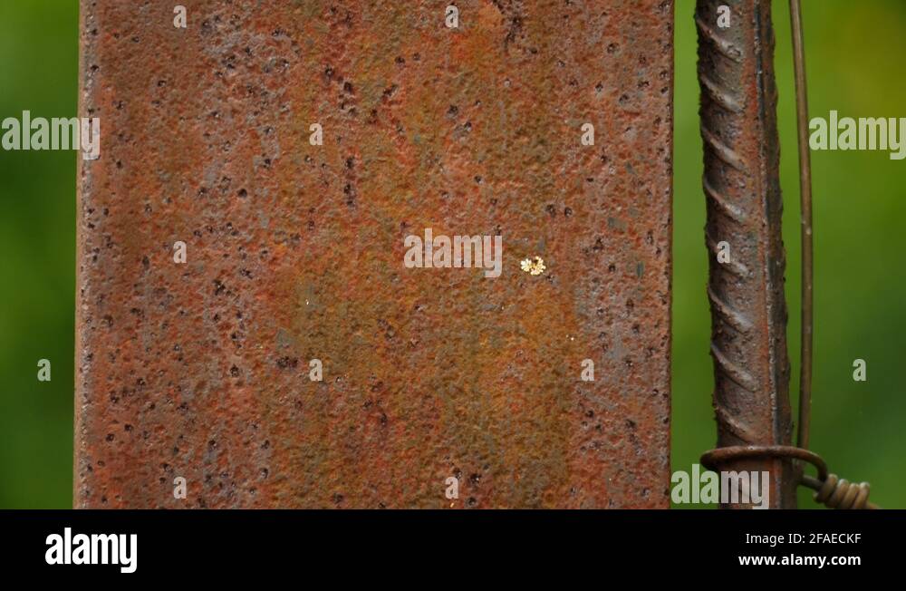 Rusty iron texture Stock Videos & Footage - HD and 4K Video Clips - Alamy