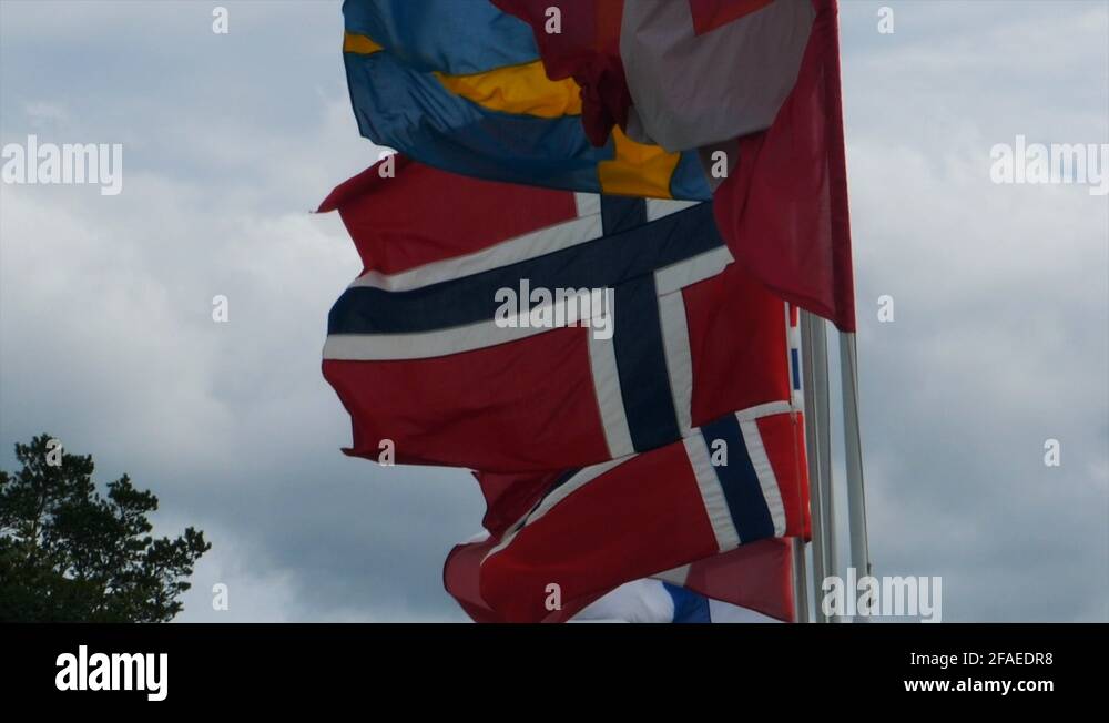 Flags of Scandinavian countries flying in a strong breeze with a cloudy ...