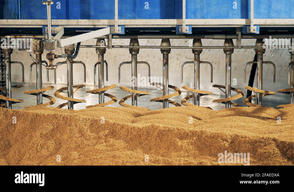 Drying seeds Stock Videos & Footage - HD and 4K Video Clips - Alamy