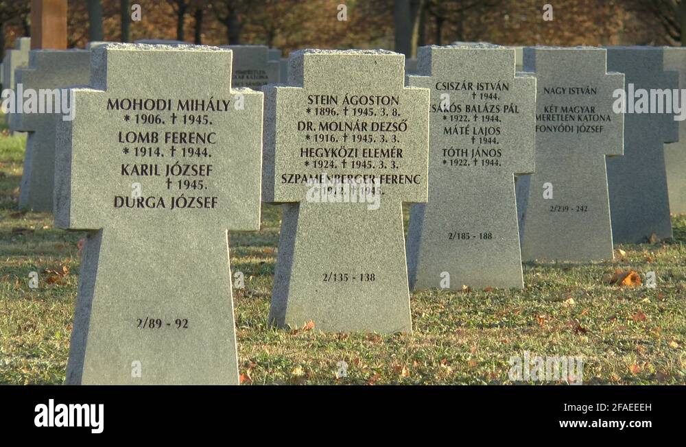World war two casualties Stock Videos & Footage - HD and 4K Video Clips ...