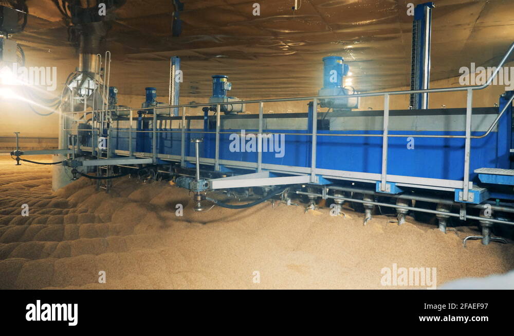 Barley malt machine Stock Videos & Footage - HD and 4K Video Clips - Alamy